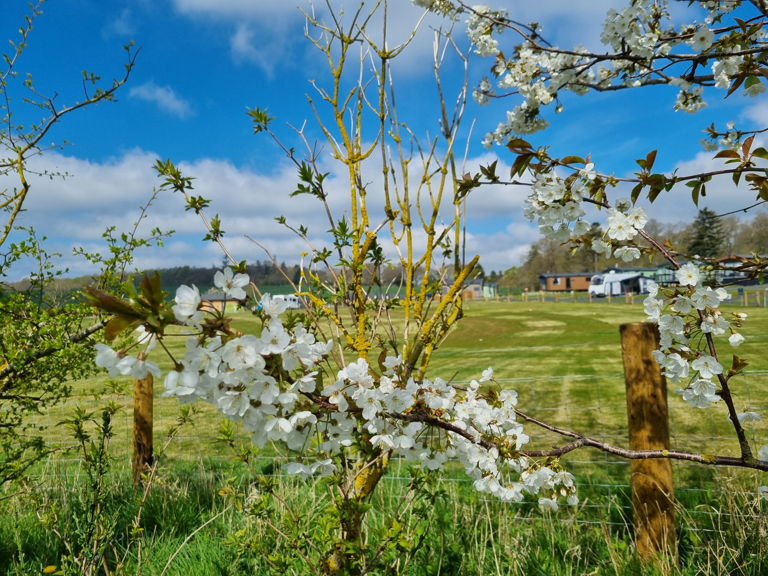 Discover Spring Holidays - Coldstream Holiday Park